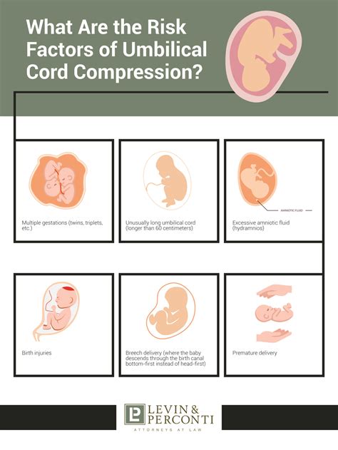 What Is Umbilical Cord Compression Levin And Perconti