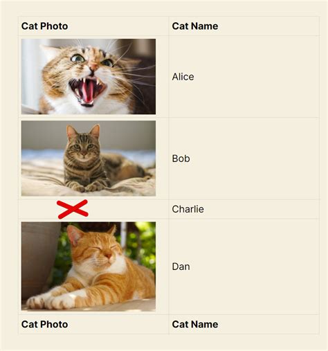 How To Conditionally Display An Image Or A Placeholder Gravitykit Support Knowledge Base How