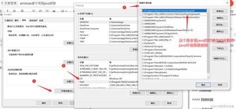 windows多个不同java共存 电脑中两个java版本 csdn博客