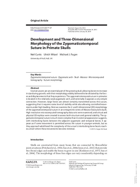 Pdf Development And Three Dimensional Morphology Of The