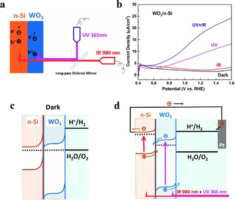 A Schematic Drawing Of The Setup For Monochromatic Light Illumination Download Scientific