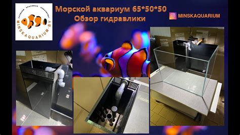 Морской аквариум 150 литров. 65*50*50 см. Перелив Херби. - YouTube
