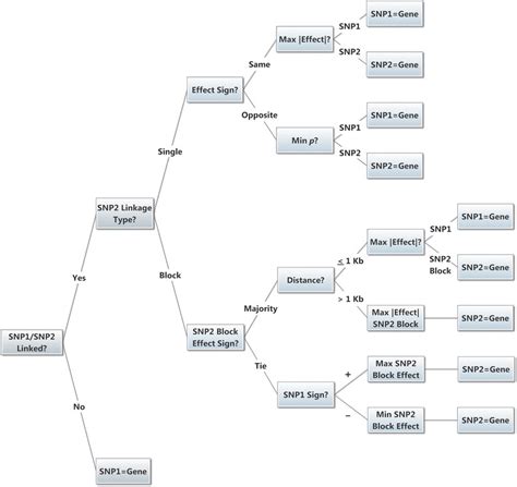 Decision Tree To Find The Tagsnp And Gene For The Gwas Results Based On