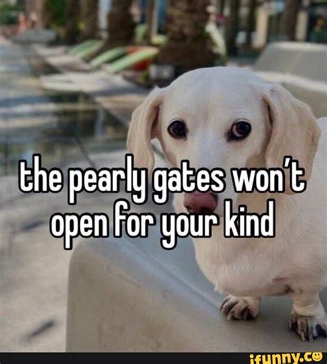 the pearly gates won t open for your kind ifunny
