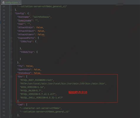 docker 修改运行容器环境变量 docker修改容器环境变量 csdn博客