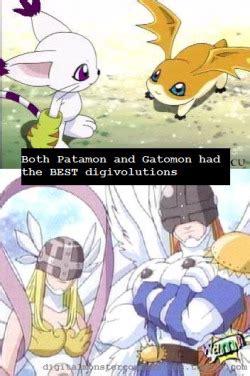 Gatomon Digivolutions