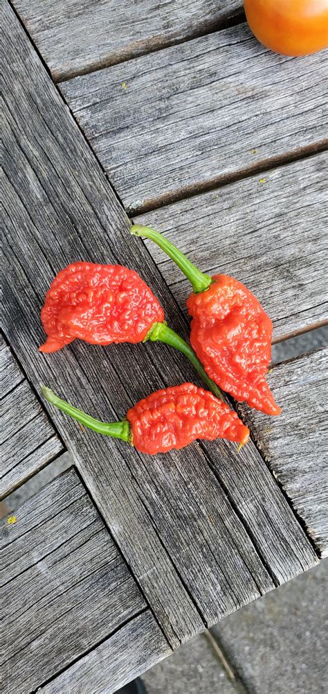 Is It True That The Inverted Filter Is How We Appear To Others Rhowtobehot