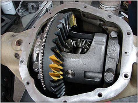 Rear Differentials Explained Powertrain Products