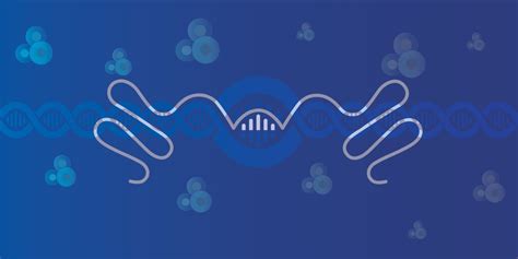 Cancer And Long Noncoding RNAs Bioradiations