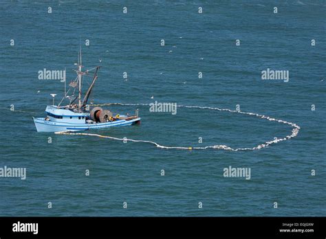 Anchovy fishing with net (purse seine) in a circle from boat in San Stock Photo: 79084401 - Alamy