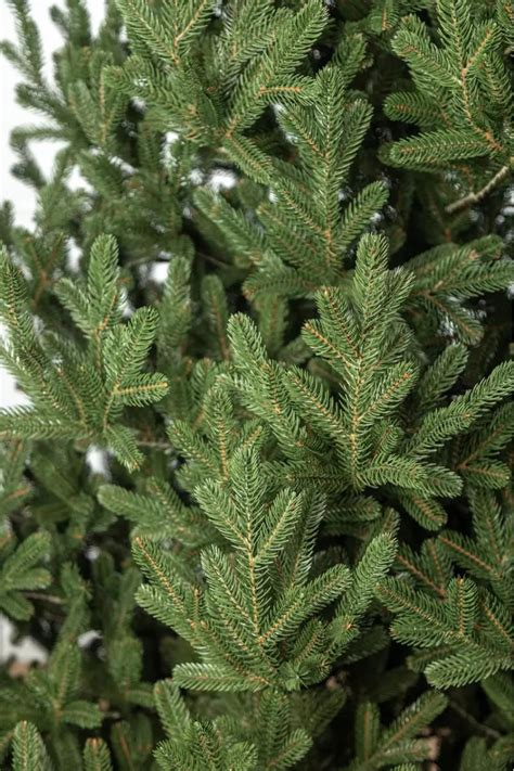 ᐉ Штучна ялинка лита Віденська з металевою підставкою 1 5 м Зелений Vya678178 • Краща ціна в