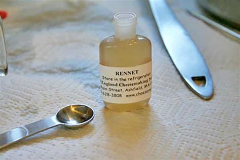 Rennet For Cheese Making Faq Cheese Making Supply Co