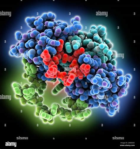 Rna Rna Base Stacking In The Rna Ribonucleic Acid Chaperone Hfq Computer Model Showing The