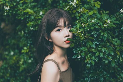 동양화 Hd 바탕 화면 배경 화면 무료 다운로드 Wallpaperbetter