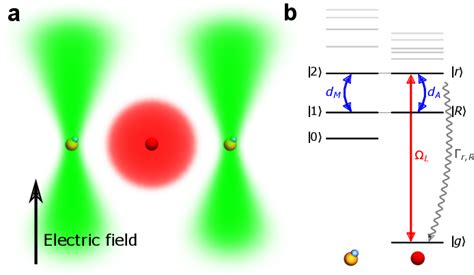 figure 1 from quantum computation in a hybrid array of molecules and