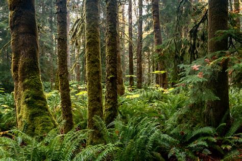 Landscapes In Colour