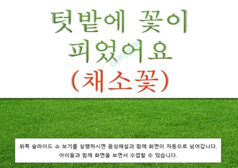 텃밭에 꽃이 피었어요 채소꽃음성녹음 이야기나누기 상호작용 음성해설 텃밭프로젝트 채소프로젝트 꽃프로젝트 식물프로젝트 Ppt사범교육레포트