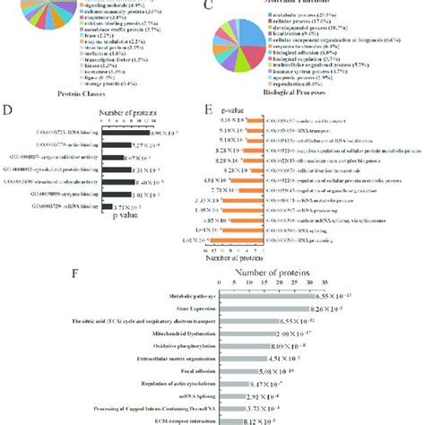 The Functional Annotation Of Dysregulated Proteins Was Analyzed By