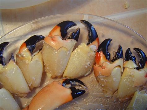 Phobia Stock 33 Crab Claws By Phobia Stock On DeviantArt