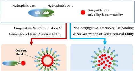 경구 복용 약물 생체이용률 8배 높인 나노 전달체 기술 개발