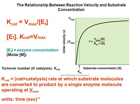 Bioenergetics Enzymes And Metabolism Ppt Video Online Download