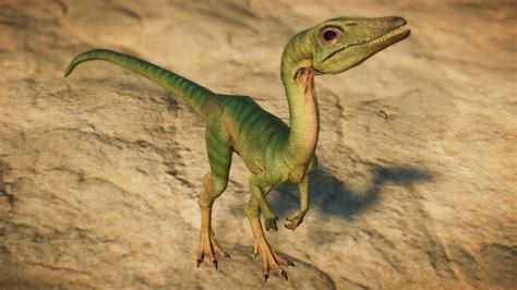 Compsognathus Jwe2