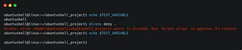 direnv manage isolated environment variables for specific project in linux