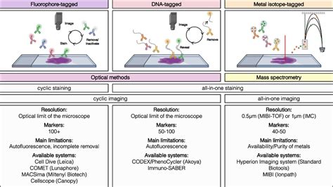Overview Over Existing Antibody Based High Multiplex Tissue Imaging Download Scientific Diagram