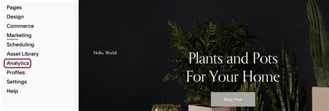 Squarespace Analytics Deep Dive A Comprehensive Guide