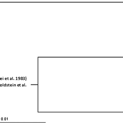 upgma clustering dendrogram of the morphological types based on nei et