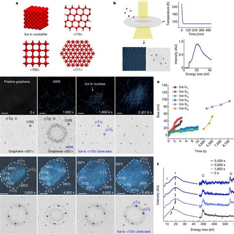 Visualization Of Heterogeneous Nucleation And Growth Of Ice Ic Using In Download Scientific