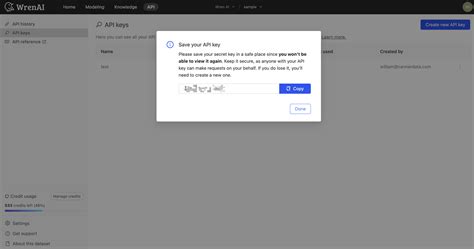 Project Api Keys Wren Ai