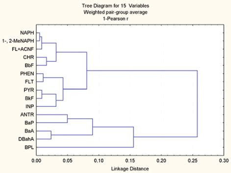 Cluster Analysis Tree Diagram Download Scientific Diagram