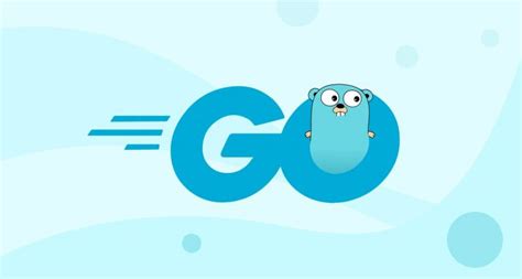 Most Popular Golang Frameworks For The Programmers In