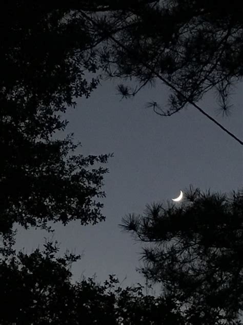 Lil Tay Onlyfans Leaks Photos And Videos Beastleak