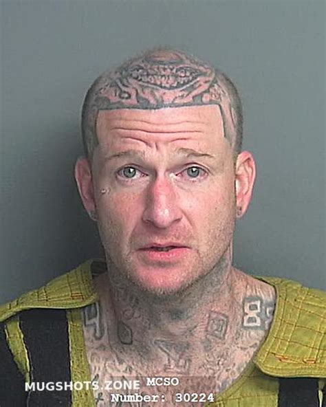 Anglin Lane Collin 03 15 2025 Montgomery County Mugshots Zone