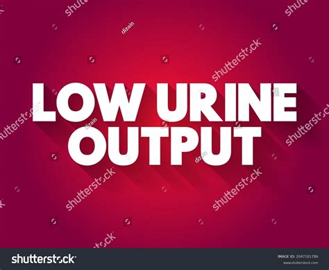 Low Urine Output Over 2 Royalty Free Licensable Stock Vectors And Vector