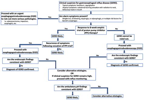 Heartburns Hidden Impact A Narrative Review Exploring Gastroesophageal Reflux Disease Gerd Heartburns Hidden Impact A Narrative Review Exploring Gastroesophageal Reflux Disease Gerd