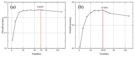 An Optimized Object Based Random Forest Algorithm For Marsh Vegetation Mapping Using High