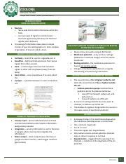 Understanding Neuron Structure Function Communication Course Hero