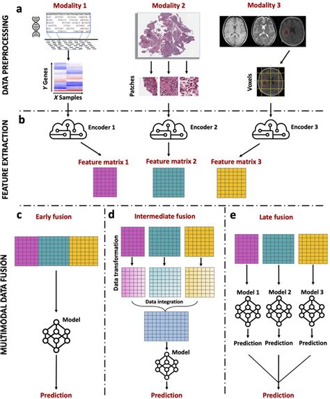 Multimodal Data Fusion For Cancer Biomarker Discovery With Deep
