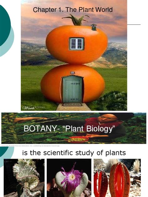 Botany Lecture Chapter 1 Pdf Plants Botany