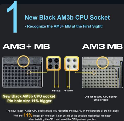 6 Facts About AMD S Black AM3b Socket The AM3 Vs AM3 Match