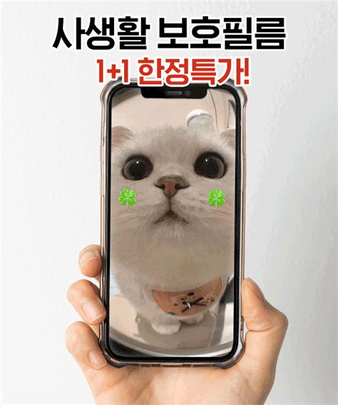 🚀최저가당일출고🚀 사생활보호 프라이버시 액정 보호 필름 지문 방지 매트 강화유리 후면 카메라 렌즈 전기종 아이폰 16 15