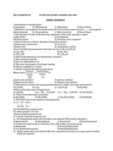 129 Amines Worksheet Pdf Amine Methyl Group