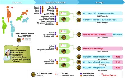 integrative multi omic analysis of the vaginal and related microbiomes