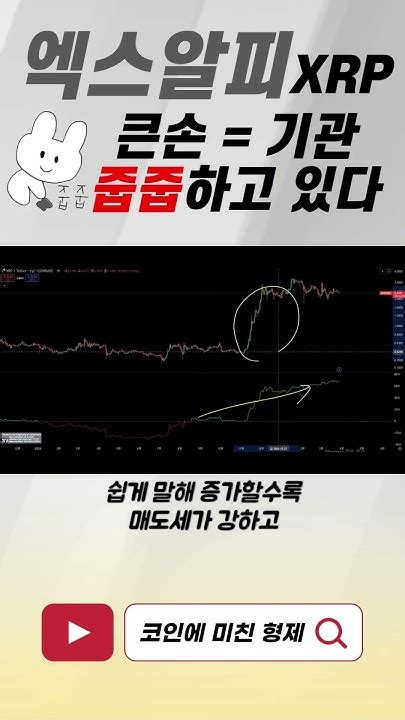 리플 리플전망 엑스알피 엑스알피호재 엑스알피목표가 엑스알피코인 엑스알피전망 엑스알피분석 엑스알피코인전망 Youtube