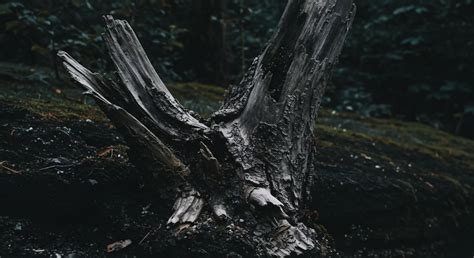 Attribution Vs Contribution → Term