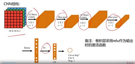 CNN实战一 建立CNN实现猫狗识别 自定义cnn实现猫狗识别 CSDN博客