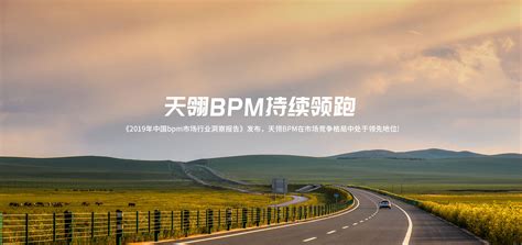 Bpm集团多租户流程私有云平台低代码开发平台微服务开发平台业务流程管理系统工作流管理中台 天翎官网